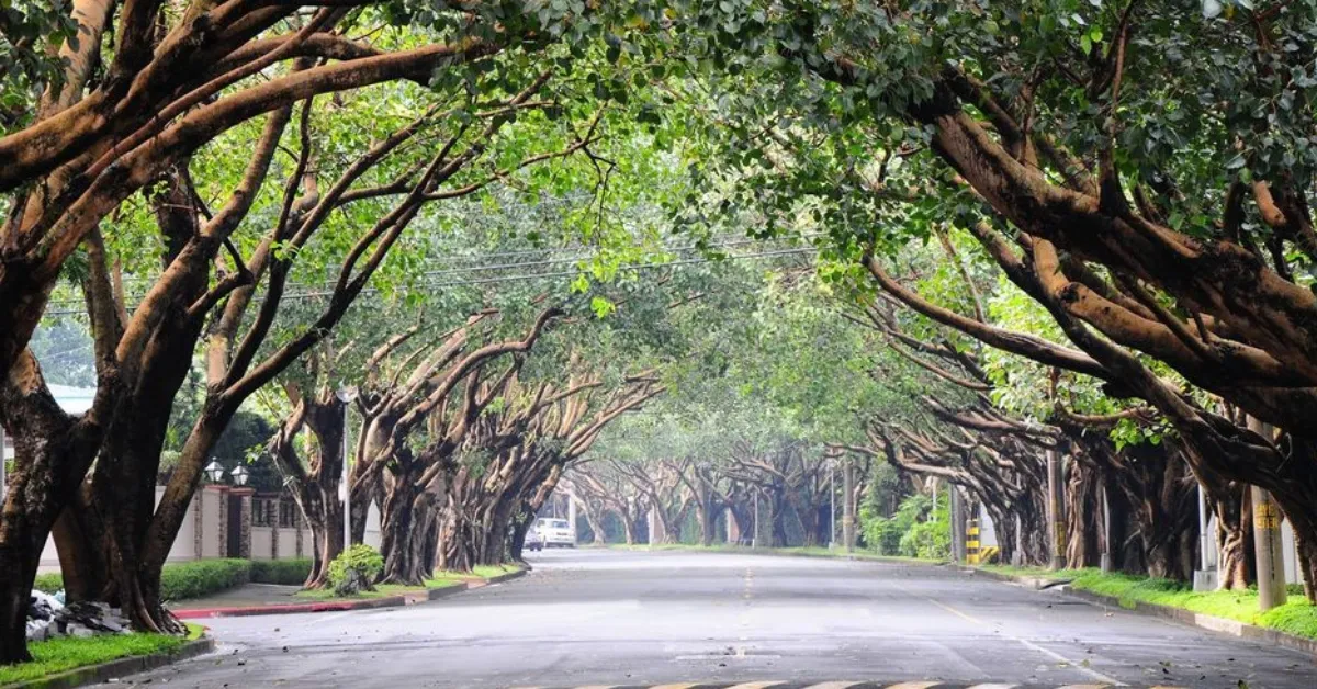 5 of the most prominent subdivisions in the Philippines